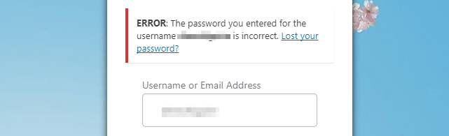 How to customize WordPress login page - Oudel Inc.