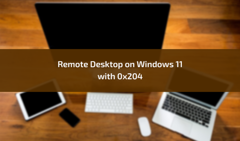 Exploring the Future of Remote Desktop on Windows 11 with 0x204