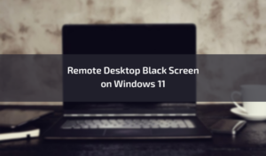 Remote Desktop Black Screen on Windows 11