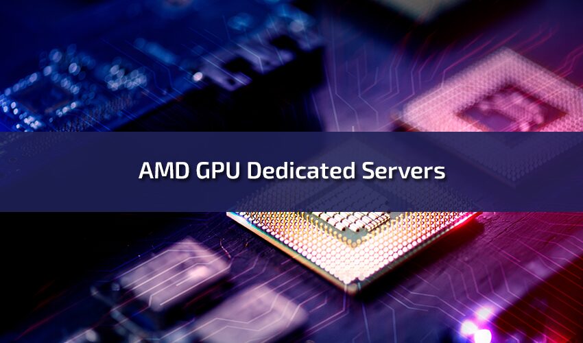 AMD GPU Dedicated Servers